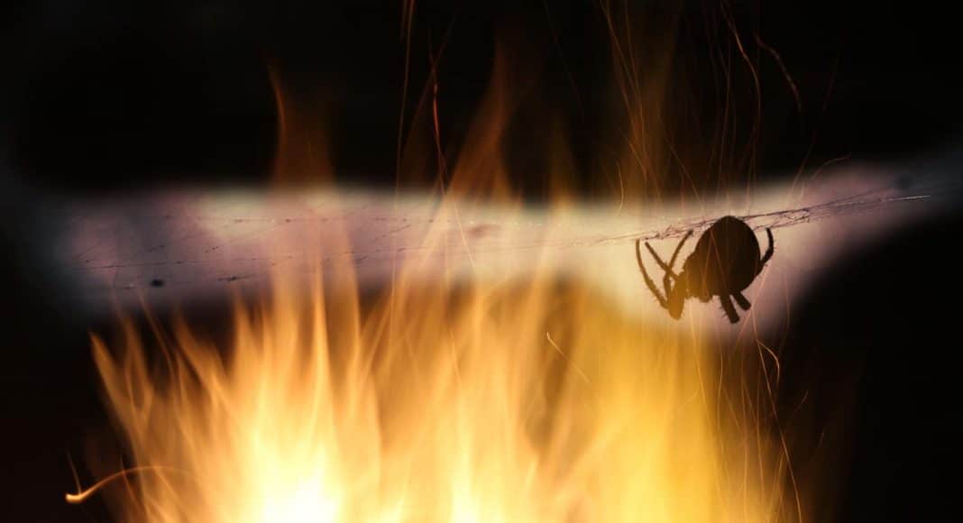 Spiders over the Fire – Rhemalogy